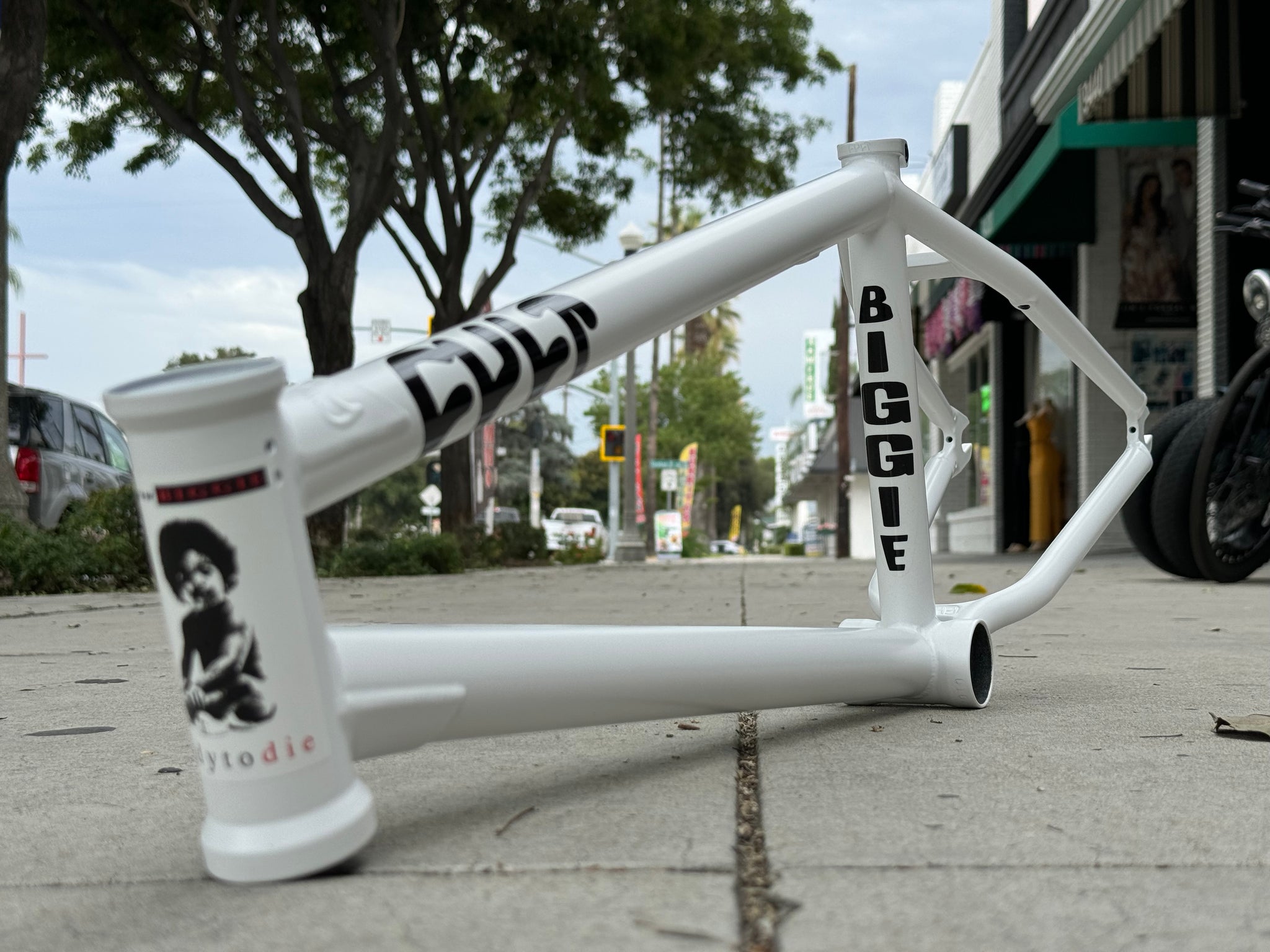 Best BMX Bike Frames | Stacked BMX Shop