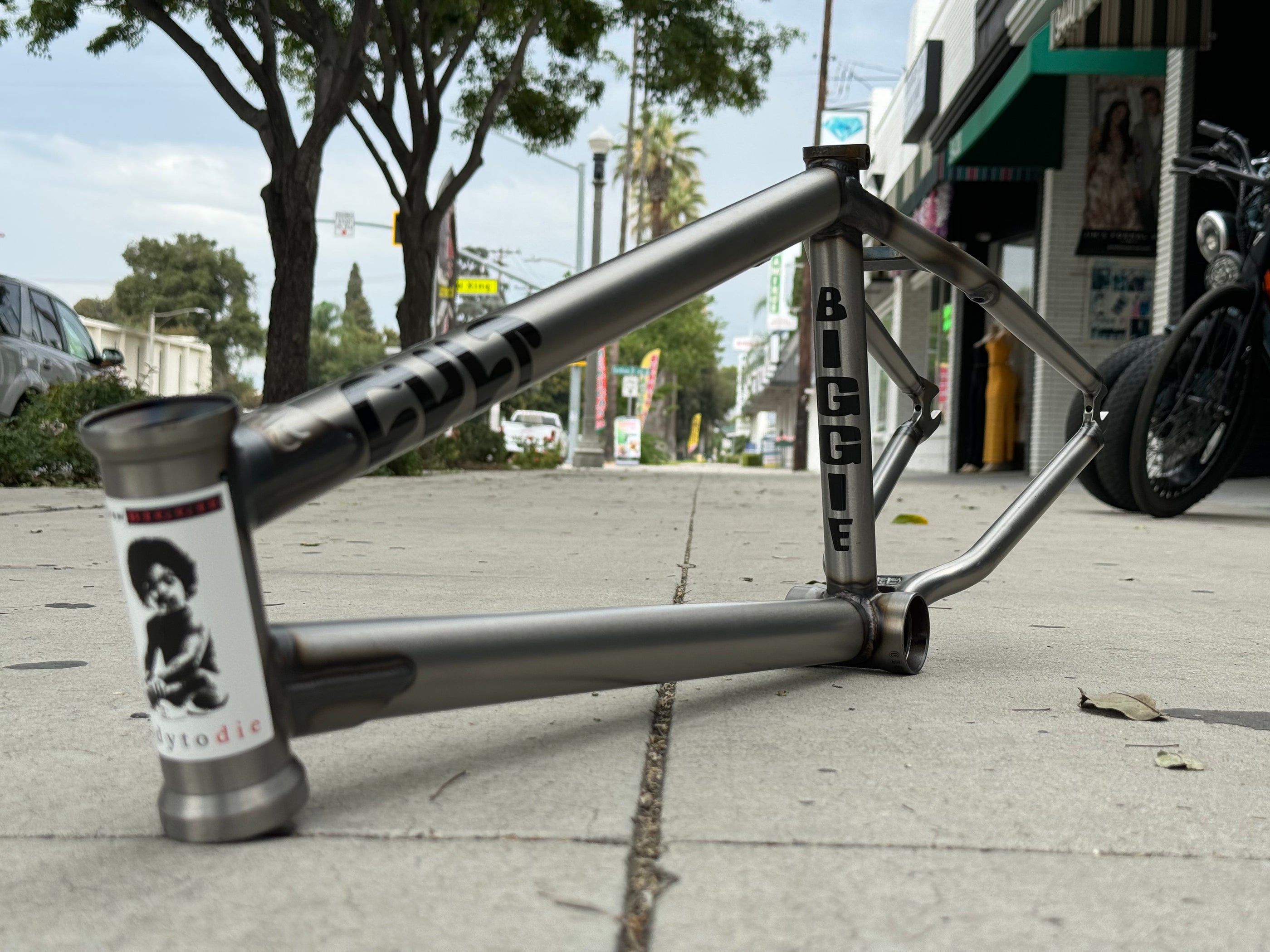 Cult Biggie frame | Stacked BMX Shop