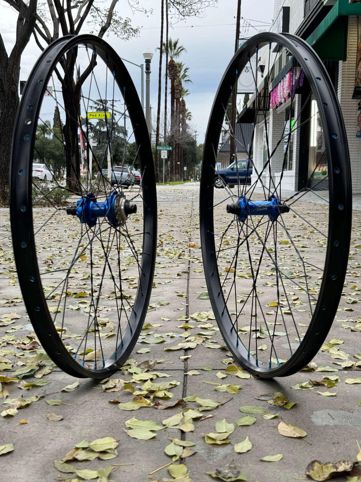 29" Profile Elite Disc Wheelset *USED HUBSET | Stacked BMX Shop